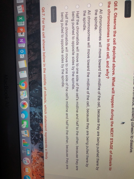 Solved ulunaiug, allowing cohesin to dissolve. Q6.6. Observe | Chegg.com