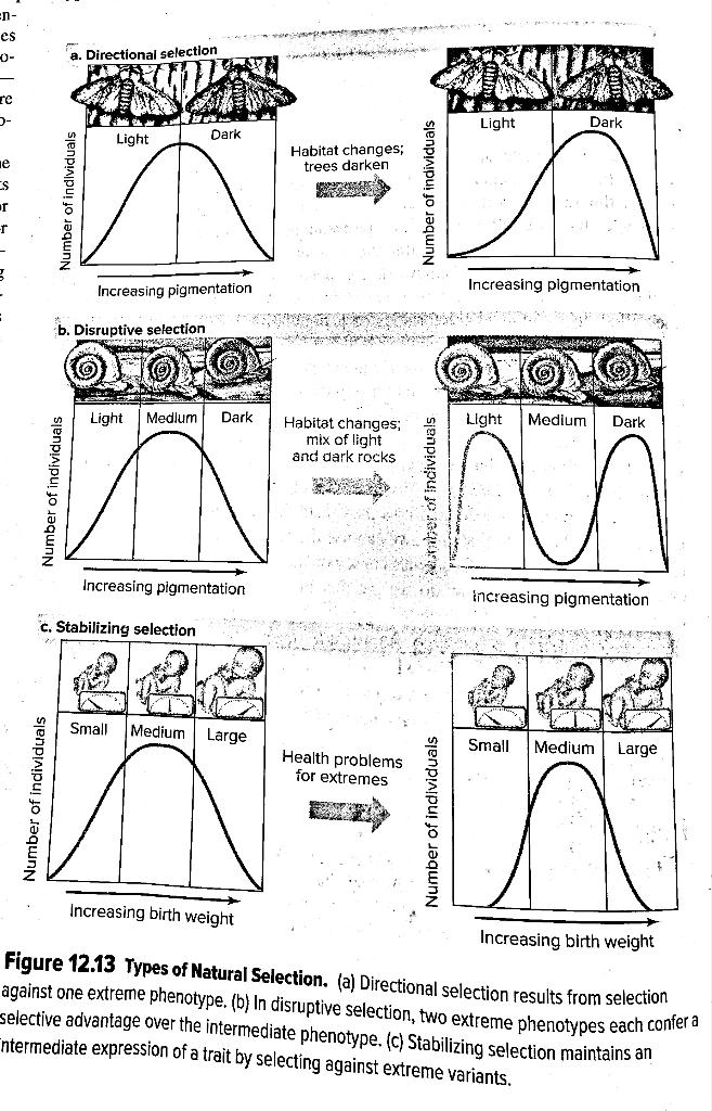 Solved Graphs: Include two graphs for each type of natural | Chegg.com