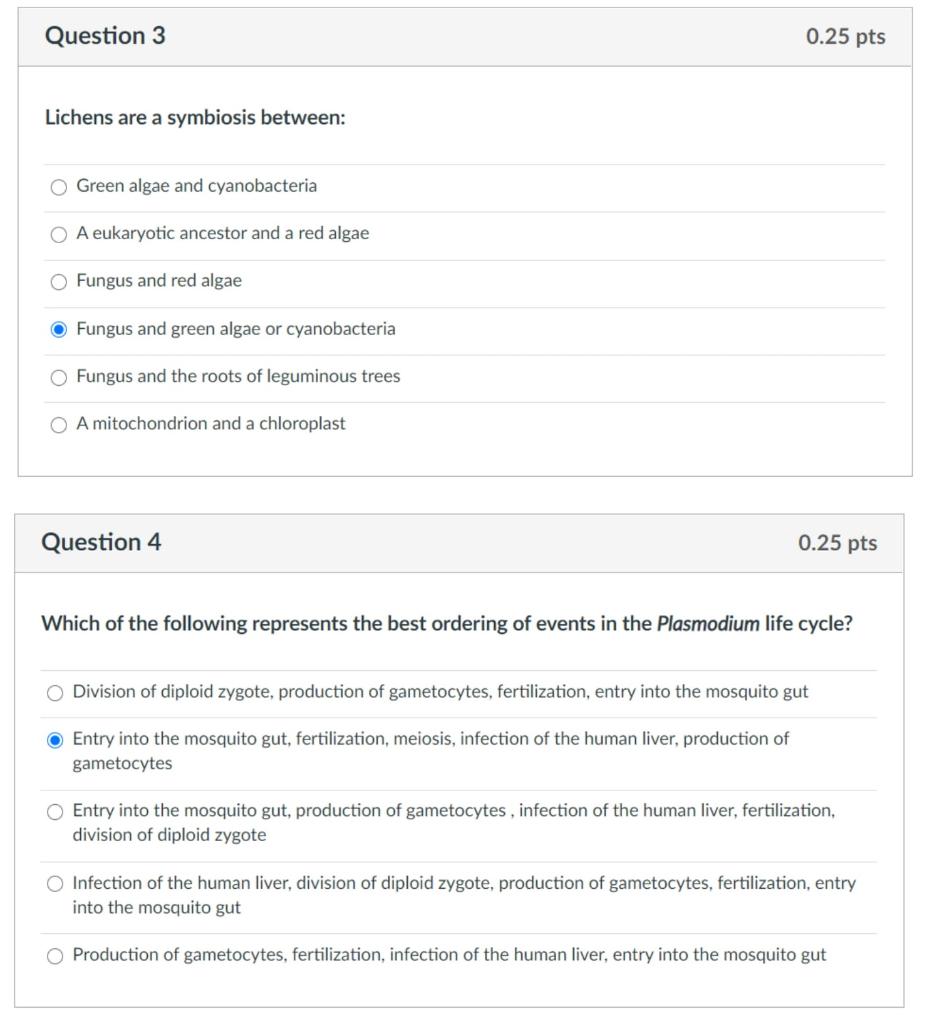 Solved Please read the following instructions. This | Chegg.com