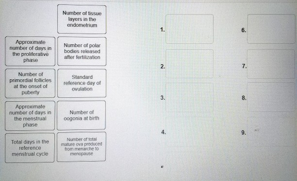 Solved Place the following labels in order from most to | Chegg.com