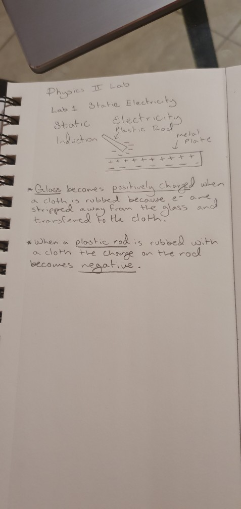 Solved I want to know why a plastic rod becomes negatively | Chegg.com