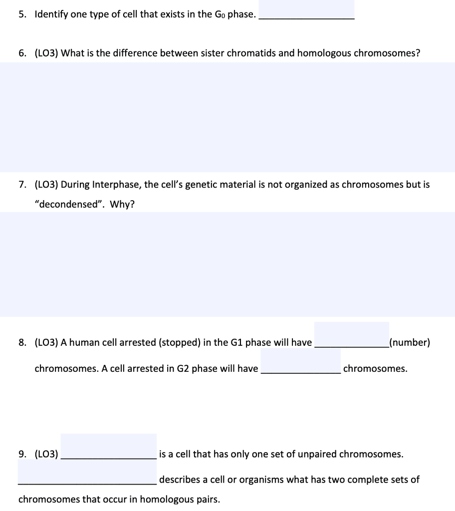 Solved 1. (L01) How do bacteria divide 2. (L01) Explain two | Chegg.com