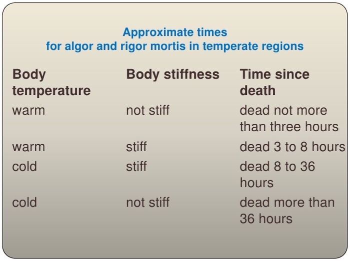 Rigor Mortis Stages