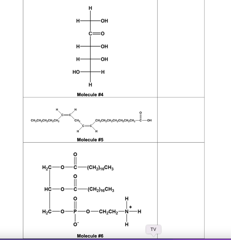 Solved BIOCHEMICAL MOLECULES - STRUCTURE AND FUNCTION ENTER | Chegg.com