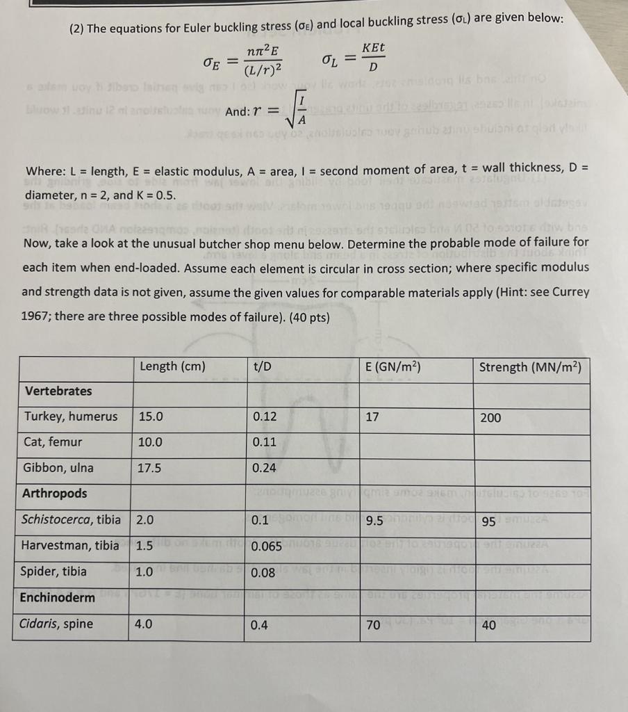 Solved (2) The equations for Euler buckling stress (σE) and | Chegg.com