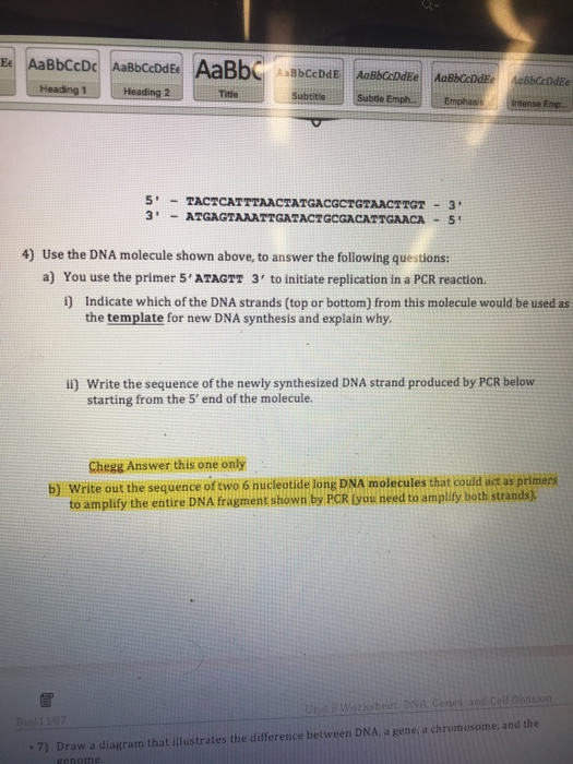 Solved Ee AaBbCcDc AaBbCcDdEe AaBbCcDdE AaBbCcDdEe | Chegg.com