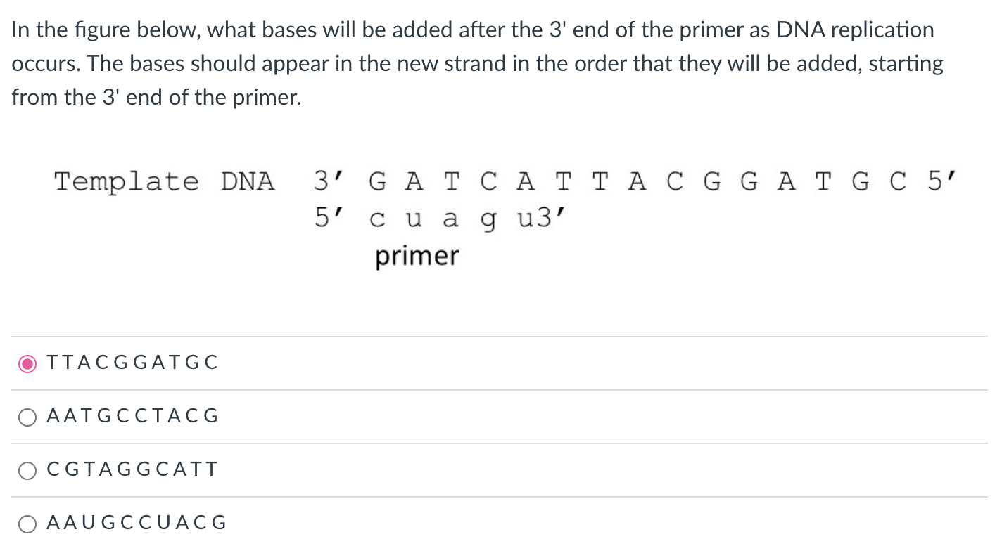 Solved In the figure below, what bases will be added after | Chegg.com