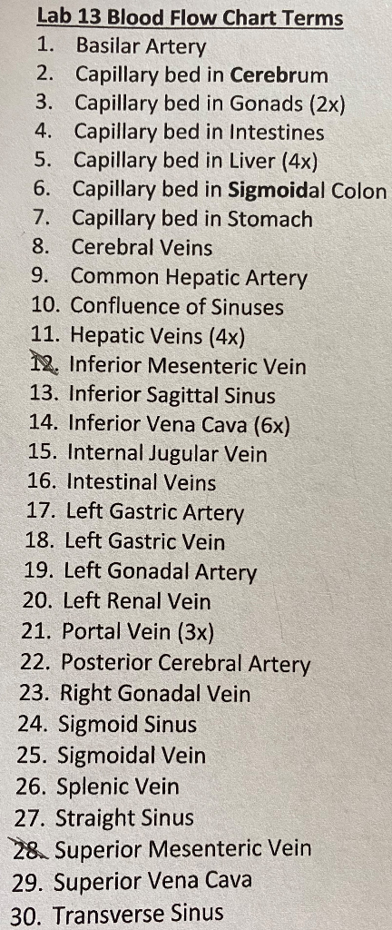 Please fill out the blood flow charts below using the | Chegg.com