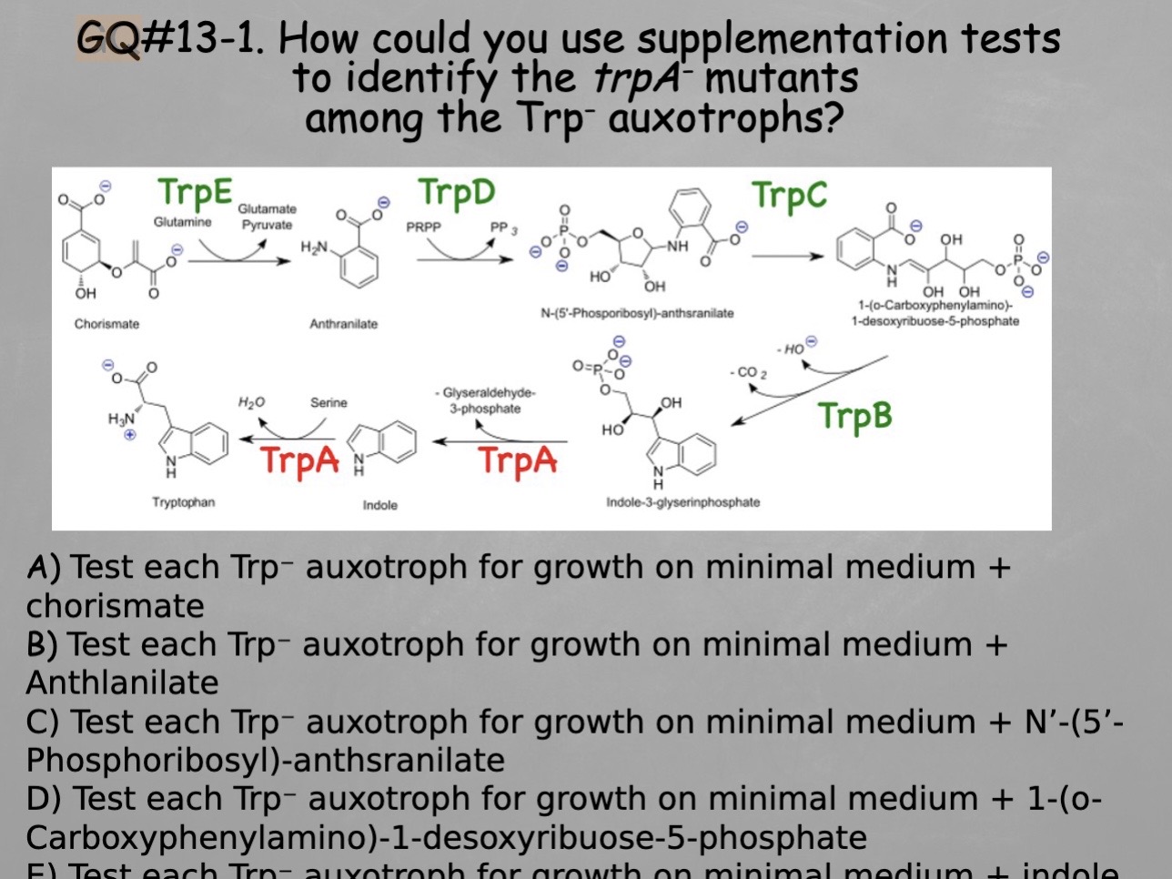 Solved A) ﻿Test each Trp- ﻿auxotroph for growth on minimal | Chegg.com