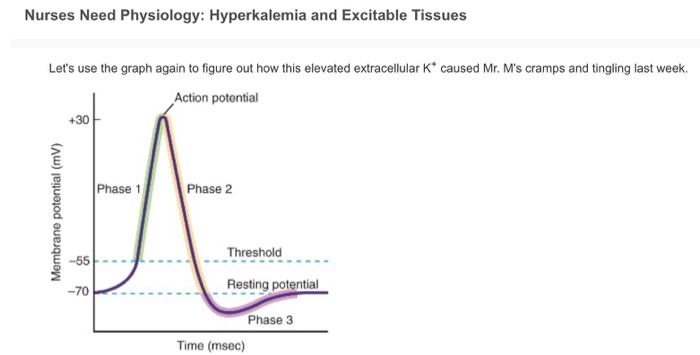 Solved Nurses Need Physiology: Hyperkalemia and Excitable | Chegg.com