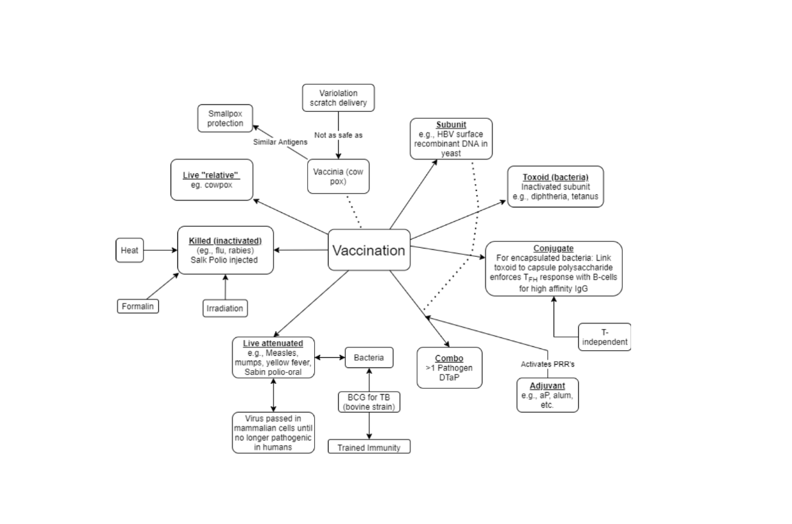 Solved Draw a concept map based on the following terms | Chegg.com