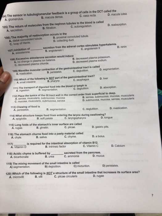 Solved Final Exam Anatomy And Physiology II B102312 Sp Chegg Solved Final Exam Anatomy And Physiology II B102312 Sp Chegg