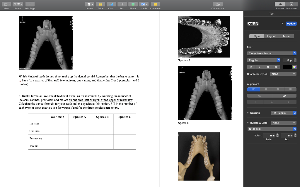 Solved 126% + Zoom Add Page т Text 19 Collaborate E Format | Chegg.com