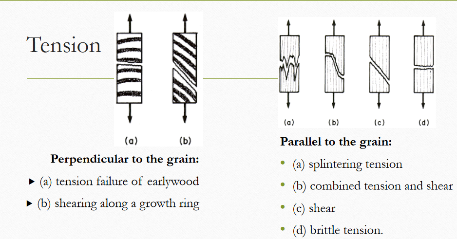 Solved Compression Test- Wood specimens "Wood differs from | Chegg.com