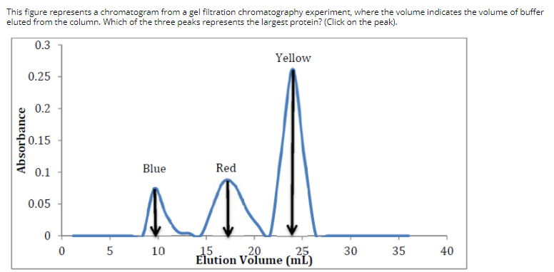 Solved This figure represents a chromatogram from a gel | Chegg.com