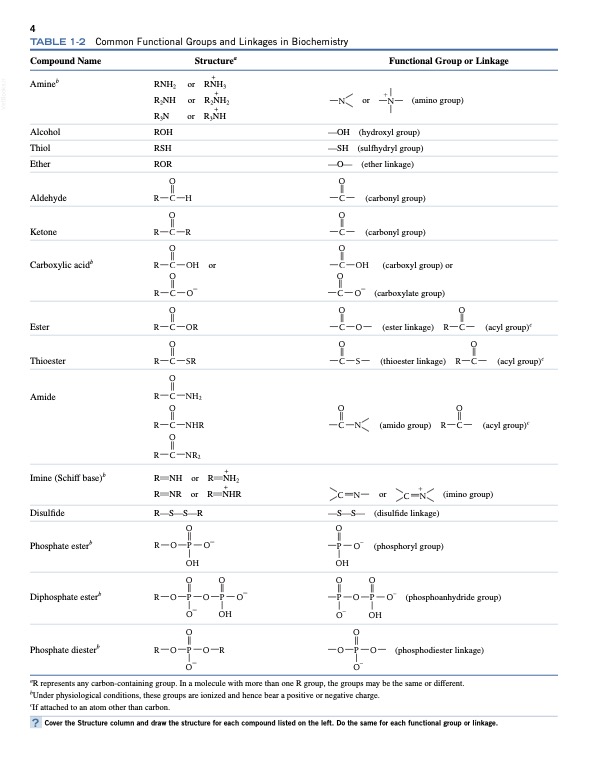 Solved The condensation of two functional groups can result | Chegg.com