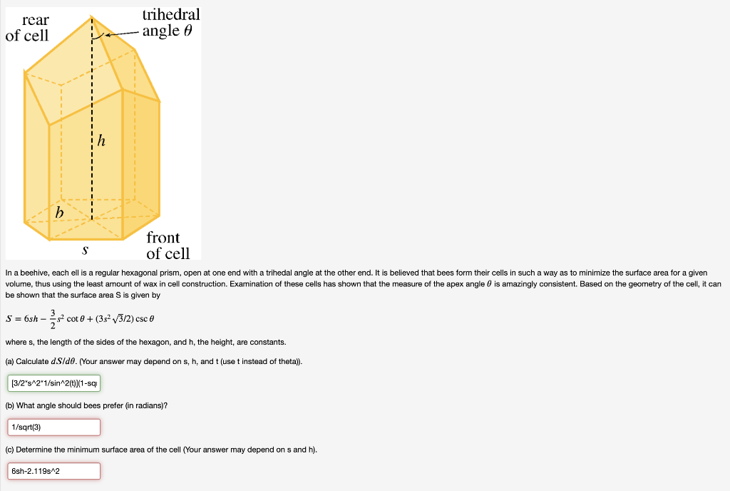 Solved rear of cell trihedral -angle b. front S of cell In a | Chegg.com
