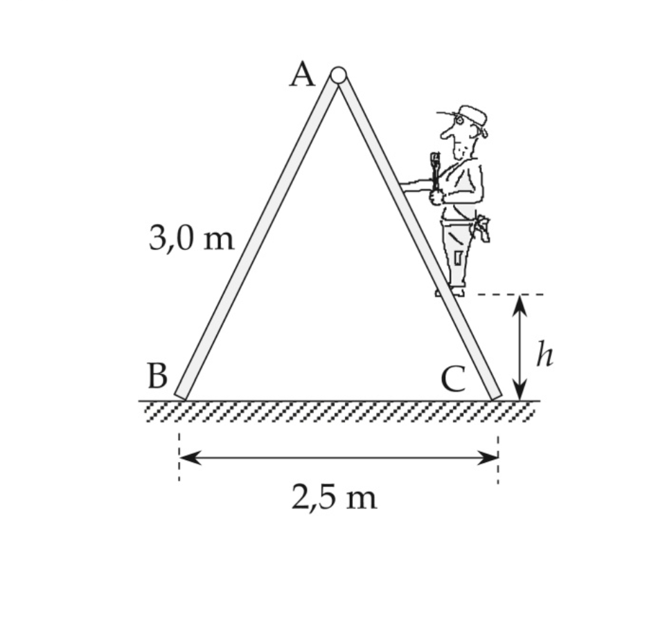 Solved A stepladder consisting of two identical halves, AB | Chegg.com
