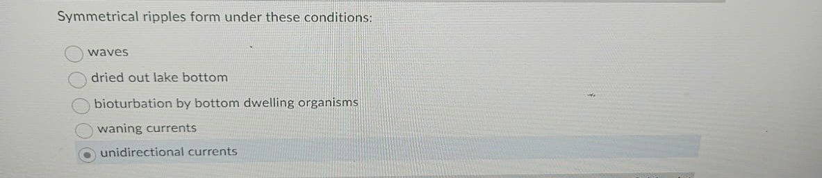 Solved Identify the structure below: laminations | Chegg.com