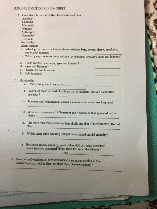 Solved HUMAN EVOLUTION REVIEW SHEET 1. Consider this outline | Chegg.com