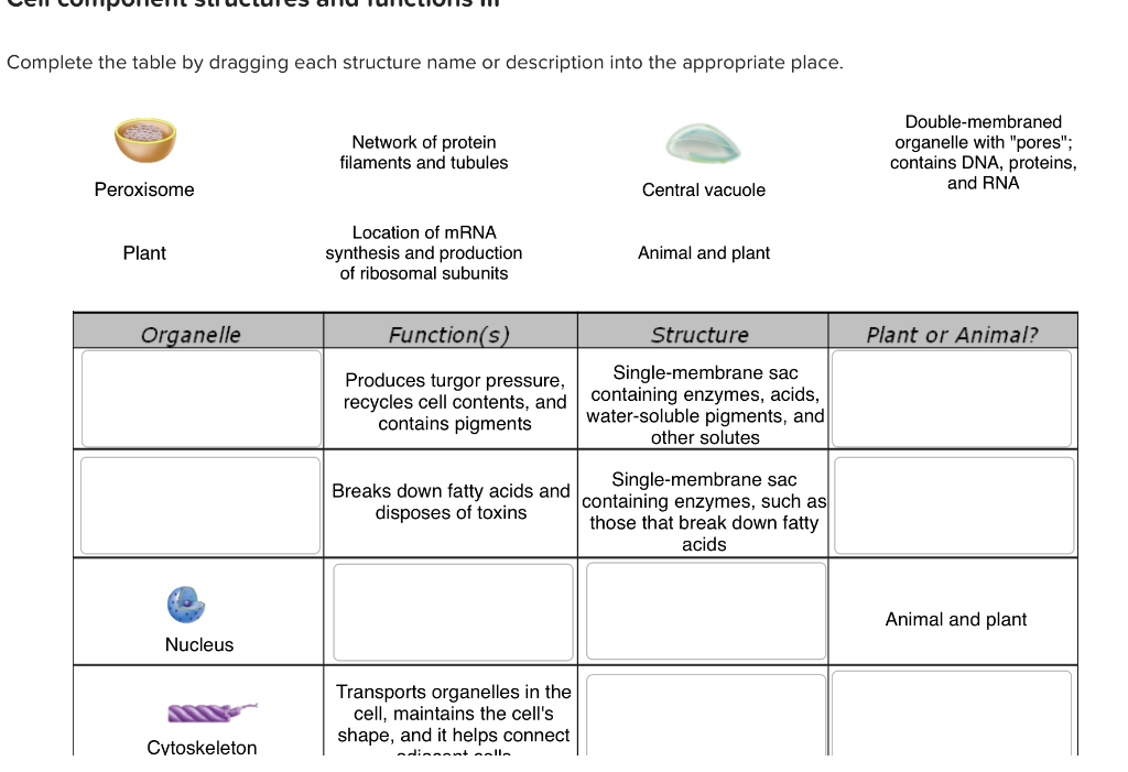 Solved Complete the table by dragging each structure name | Chegg.com