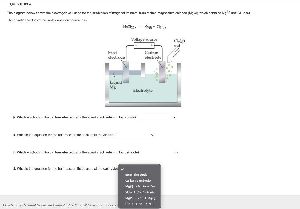 Solved The half- reactions occurring in zinc dry cell | Chegg.com
