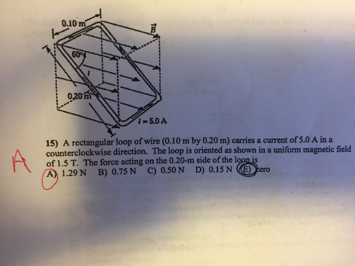 Solved A rectangular loop of wire (0.10 m by 0.20 m) | Chegg.com