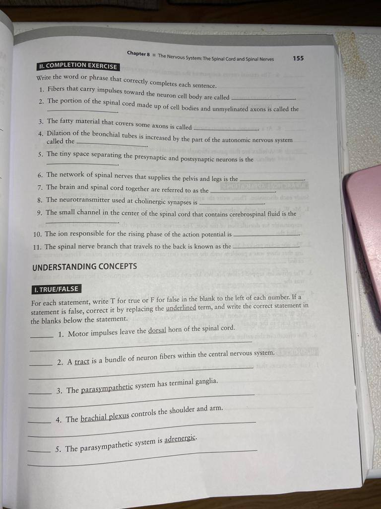 Solved 155 Chapter 8 - The Nervous System: The Spinal Cord | Chegg.com