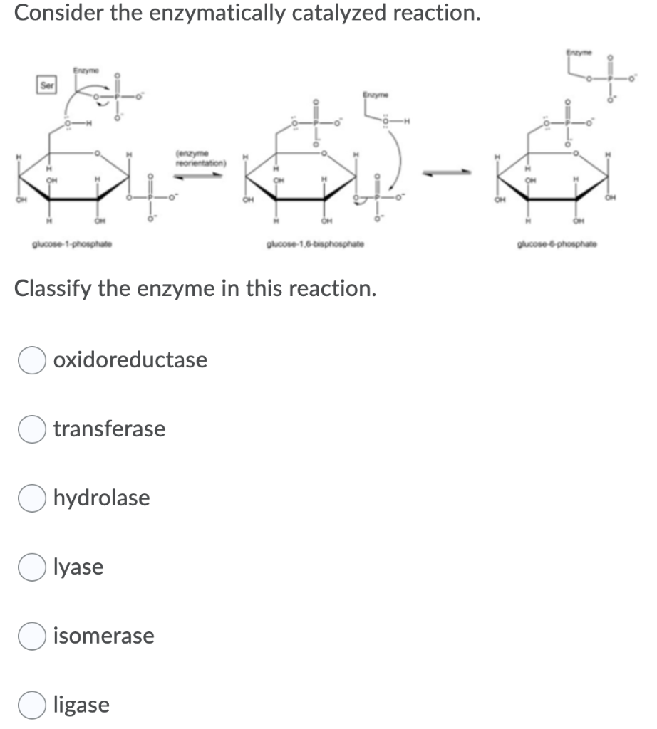 Solved Consider the enzymatically catalyzed reaction. Ene 다 | Chegg.com