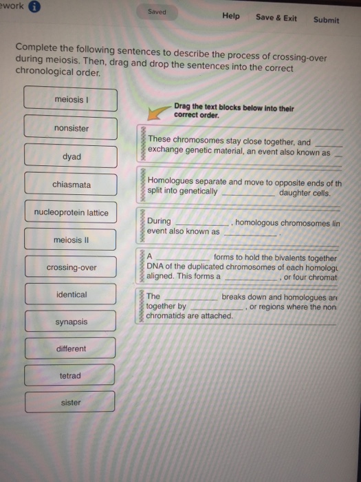 Solved work Saved Help Save &Exit Submit Complete the | Chegg.com Solved work Saved Help Save &Exit Submit Complete the | Chegg.com