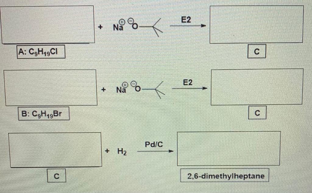 Solved Compound A has the formula C9H19Cl, and B has | Chegg.com