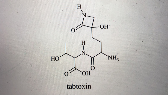 Solved c. If you treated tabtoxin with 6M HCI for 24 hours, | Chegg.com