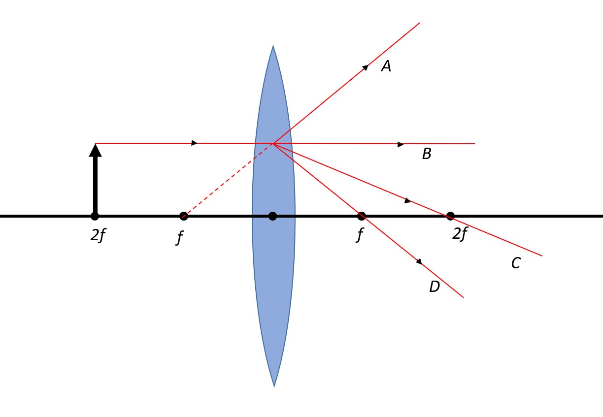 Solved The figure below shows an object placed near a convex | Chegg.com