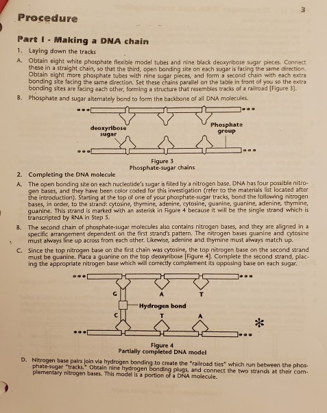 Solved Questions Draw a diagram of your DRA molecule. Keep | Chegg.com