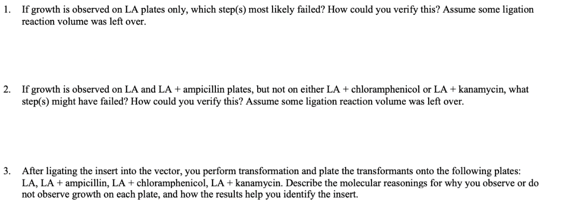 Solved Let's say you transformed E. coli DH5-alpha cells | Chegg.com