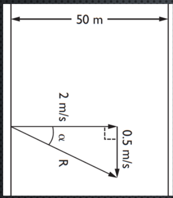 Solved A swimmer orients herself perpendicular to the | Chegg.com