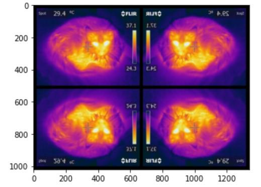 Solved Question 2a (4 marks) Starting with the code and data | Chegg.com