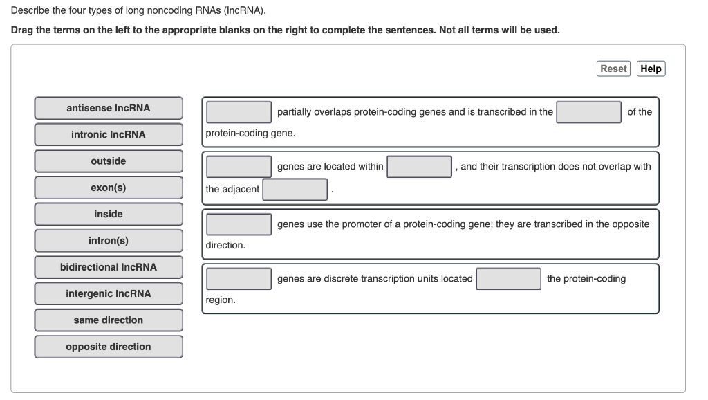 Solved Describe the four types of long noncoding RNAs | Chegg.com