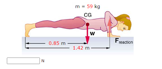 Solved (a)Calculate the force (in N) the woman in the figure | Chegg.com