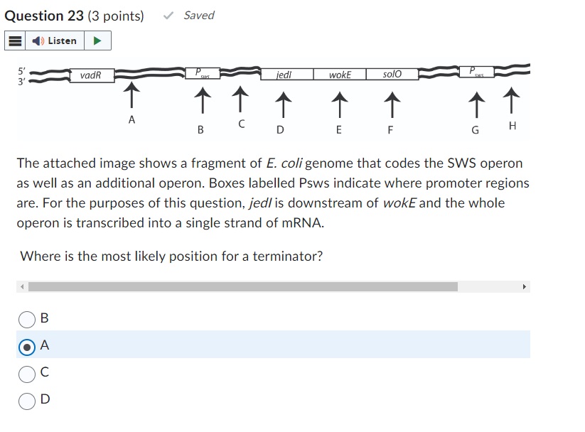 Solved Question 23 (3 ﻿points)The attached image shows a | Chegg.com