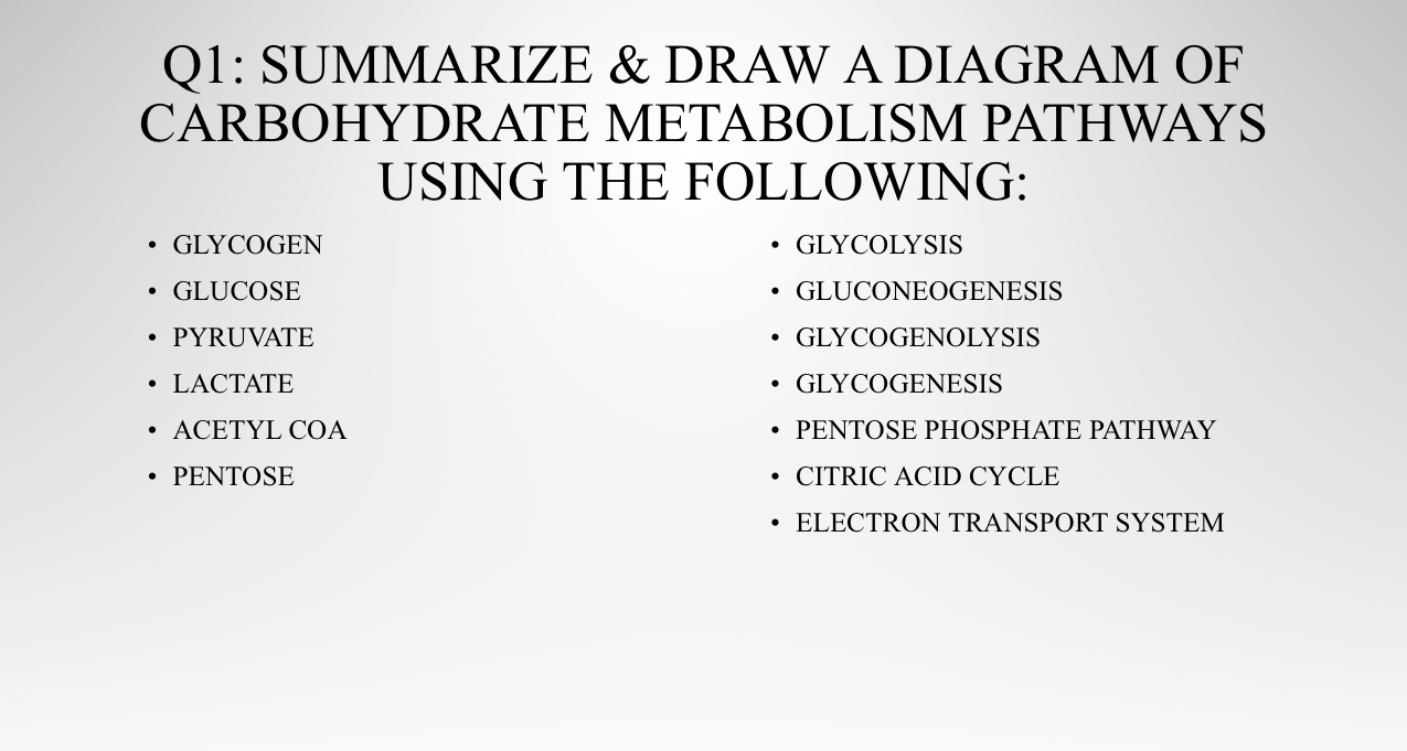 Solved Q1: SUMMARIZE & DRAW A DIAGRAM OF CARBOHYDRATE | Chegg.com