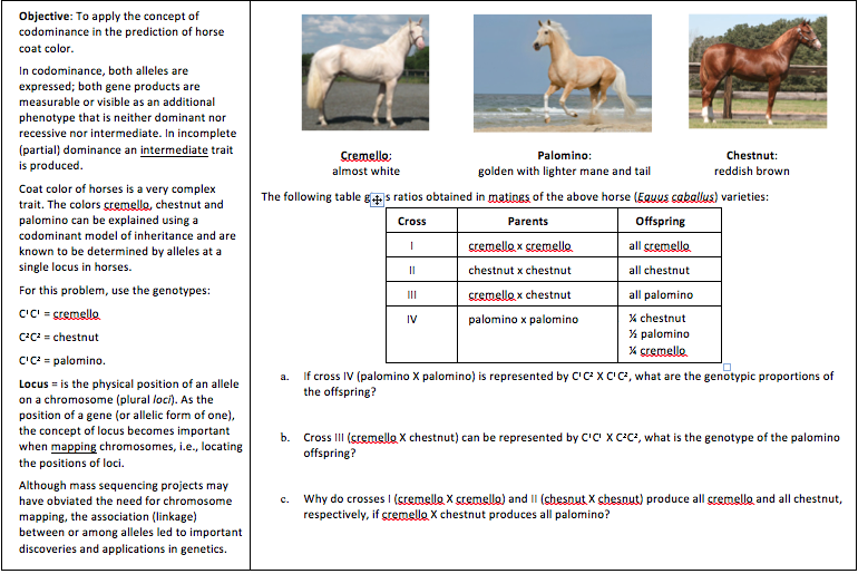Codomiance In Genetics Refers To: : Incomplete Dominance & Codominance ...
