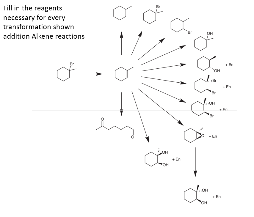 Solved Fill in the reagents necessary for every | Chegg.com