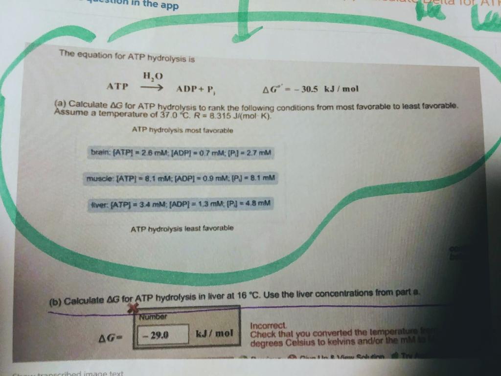 Solved in the app a TOLA The equation for ATP hydrolysis is | Chegg.com