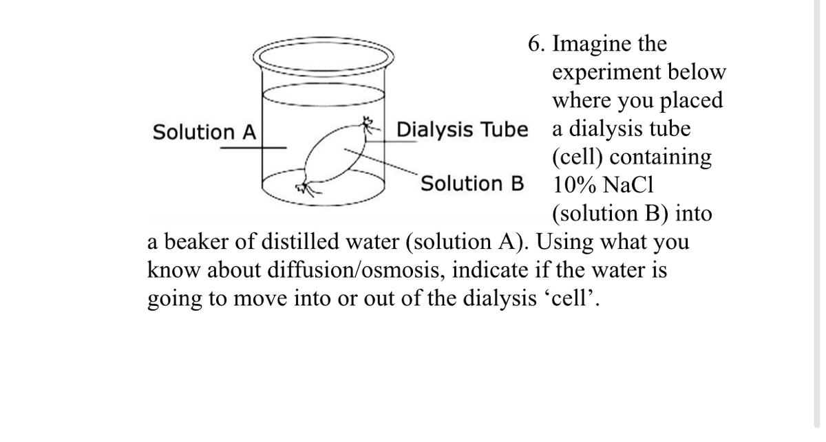 Solved 6. Imagine the experiment below where you placed | Chegg.com