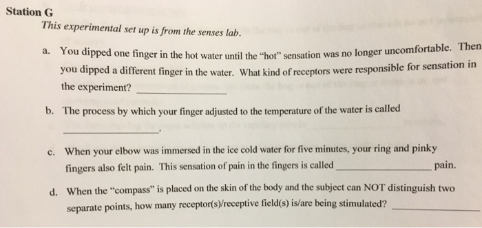 Solved Station G This experimental set up is from the senses | Chegg.com