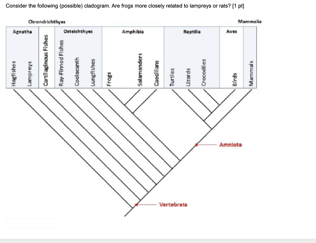 Solved Consider the following (possible) cladogram. Are | Chegg.com