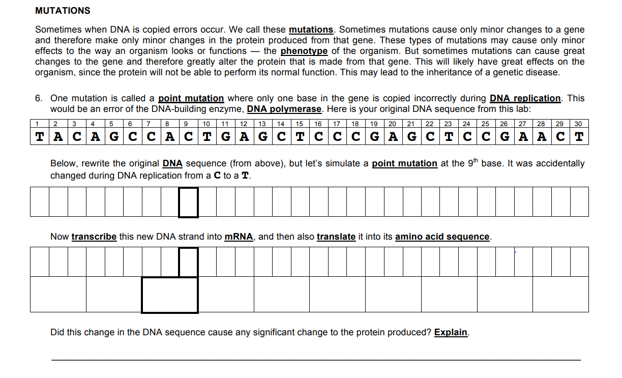 Solved MUTATIONS Sometimes when DNA is copied errors occur. | Chegg.com