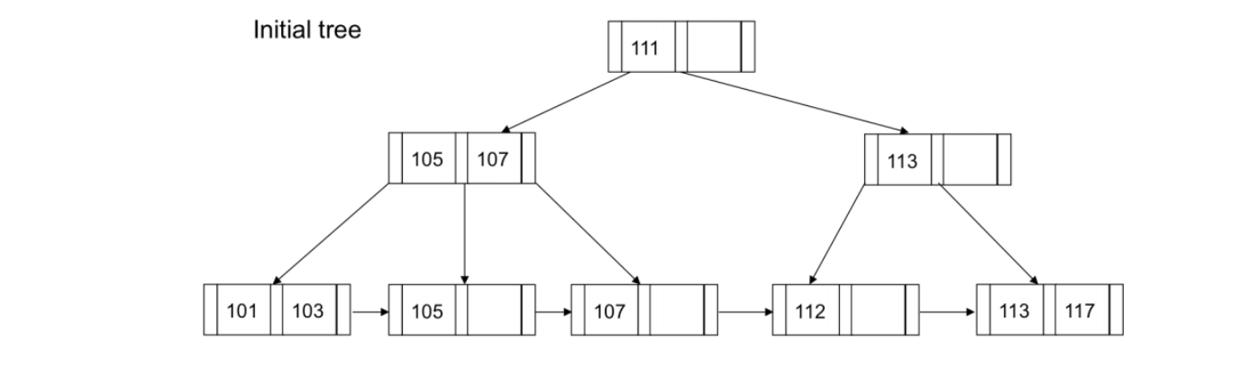 Consider the following B+ tree. The number of | Chegg.com