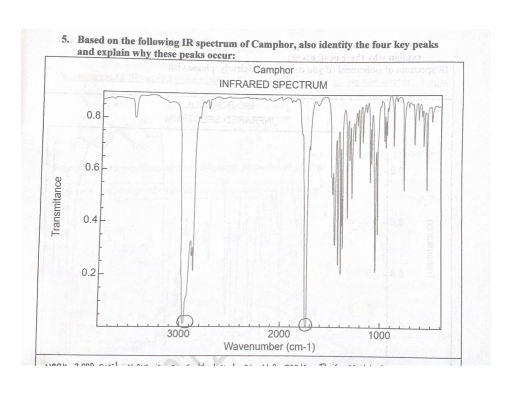 Solved 5. Based on the following IR spectrum of Camphor, | Chegg.com